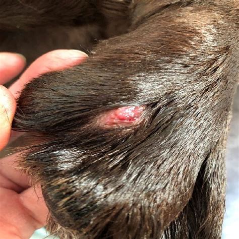 Marvel Vinyls Vinyl Flooring And Pvc Leather Cloth