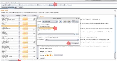 How To Use Xss Validator Burp Suite Plugin The Riddler