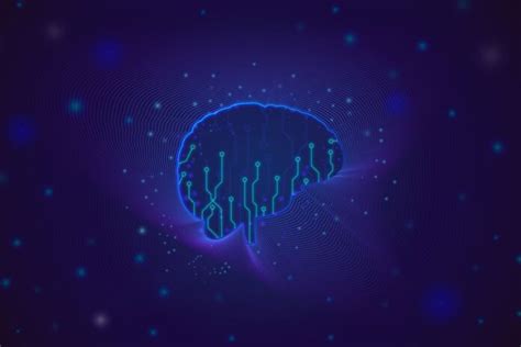 Important Factor In Neural Development Identified