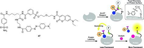 Fluorescent Chemosensors The Past Present And Future Chemical