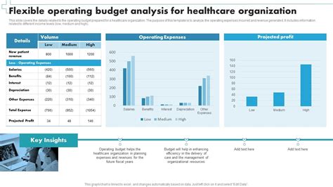 Flexible Operating Budget Analysis For Healthcare Organization Ppt Sample