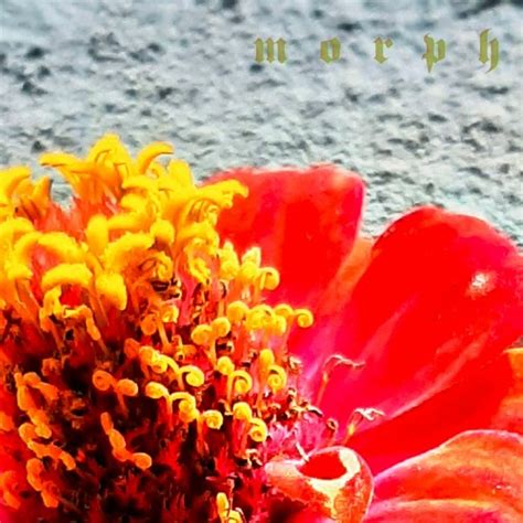 Stream Morph By Sonic Structures And Silent Stretches Listen Online