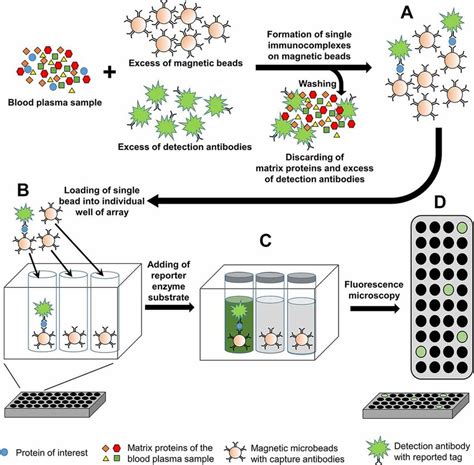 The Principle Of Single Molecule Array Simoa A Blood Plasma Sample