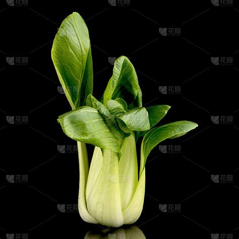 黑衣人素材 花瓣网