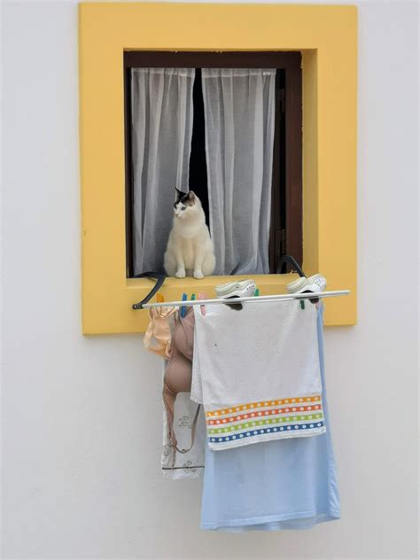 Exposição De Fotografia De Teresa Cabral Vital