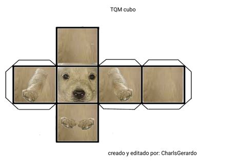 Te Quiero Mucho Cubo Cubos Moños Dibujos Animados Bonitos