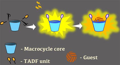Macrocyclic Emitters Raysresearchgroup