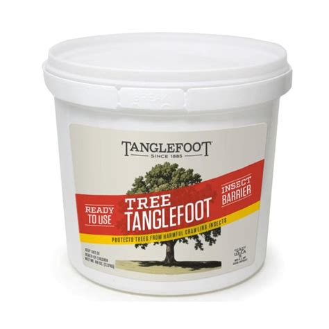 Tanglefoot Tree Tub Insect Barrier For Trapping And Monitoring Pests Like Ants Weevils Spongy