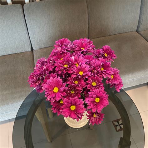 paw2526, ร้านค้าออนไลน์ | Shopee Thailand