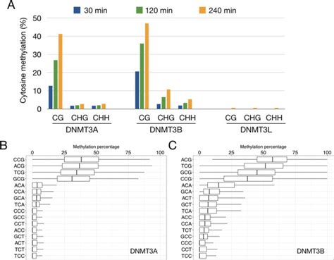 Genome Wide Dna Methylation Signatures Are Determined By Dnmt3a B Sequence Preferences Pmc