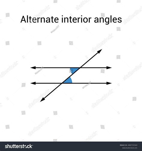 alternate interior angles parallel lines mathematics stock vector