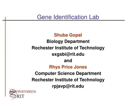 Ppt Gene Identification Techniques And Analysis Methods Powerpoint Presentation Id9496473