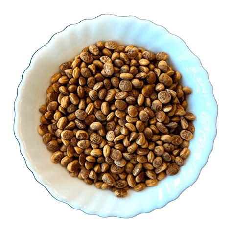 Buy Cuddapah Almond Charoli In Gujarat India Spyran Retail