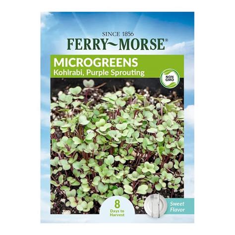 Ferry Morse Kohlrabi Purple Sprouting Micro Greens Vegetable Seeds 9677 The Home Depot