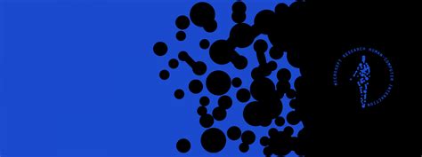 Human Computer Interaction Microsoft Research