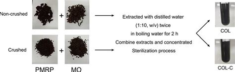 Preparation Process Of Col And Col C Download Scientific Diagram