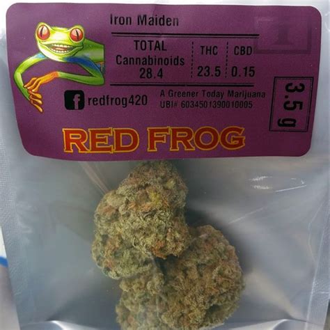 Red Frog Cannabis Iron Maiden Leafly