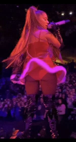 Pied65 Ariana Grande