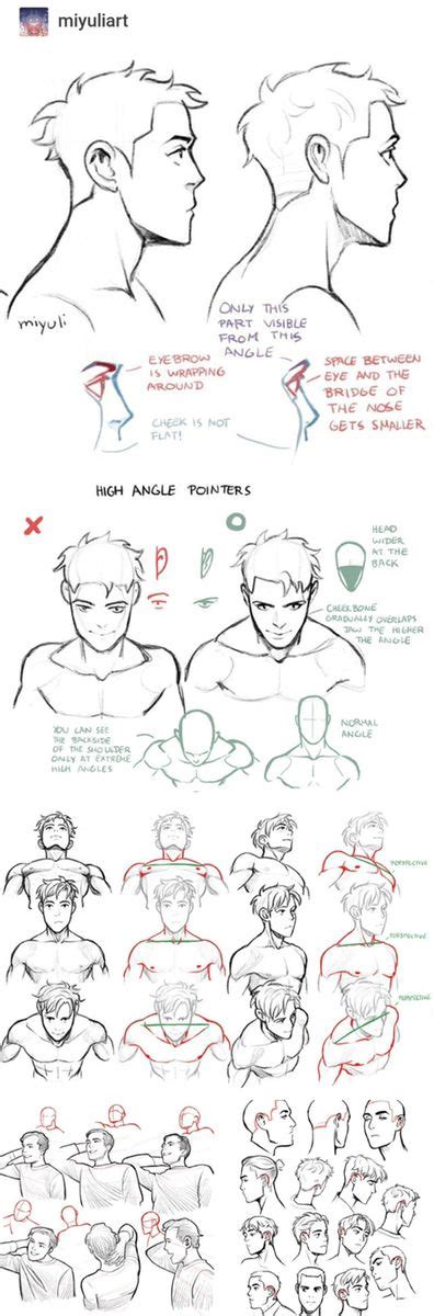 Pin By Jorrie Bolton On Human Anatomy Drawing Reference Art