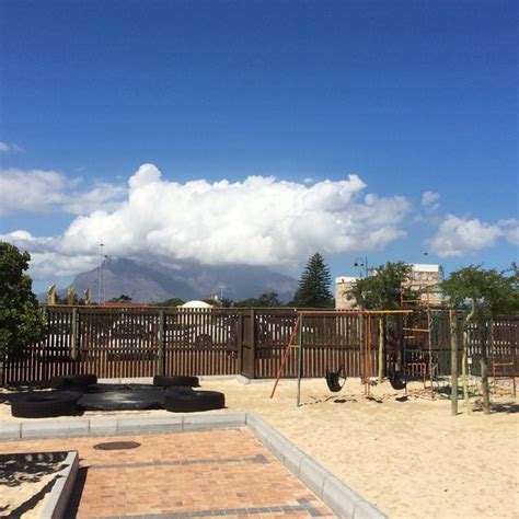 Stodels Garden Centre 14 Visitors