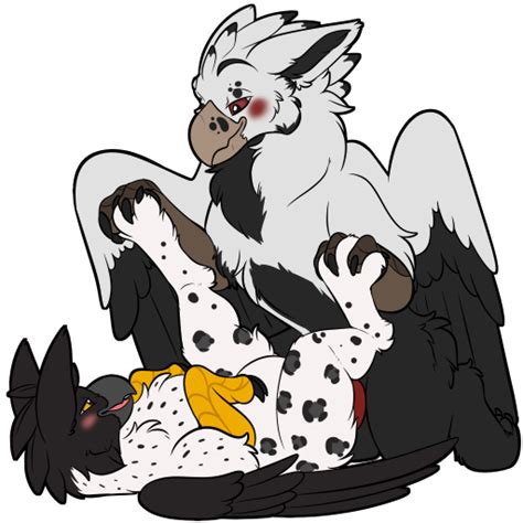 Rule 34 Avian Balls Beak Blush Duo Feathered Wings Feathers Feet