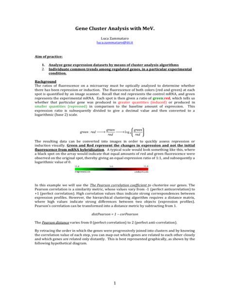 Gene Cluster Analysis With Mev