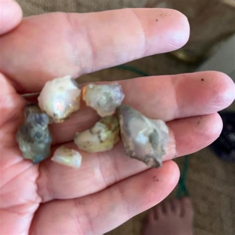 Cut Grade Extremely Large 5 Pc Opal Rough Lot 40 Cts Natural Ethiopian