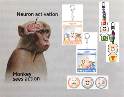 Neuron Activation 21 Neurons And Action Potential Ap Psychology