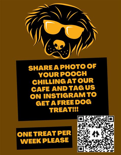 Hungry Grasshopper Cafe Haberfield Nsw