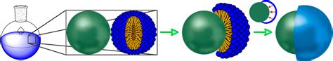 Figure 1 From Synthesis Of Polystyrenepolyphenylsiloxane Janus