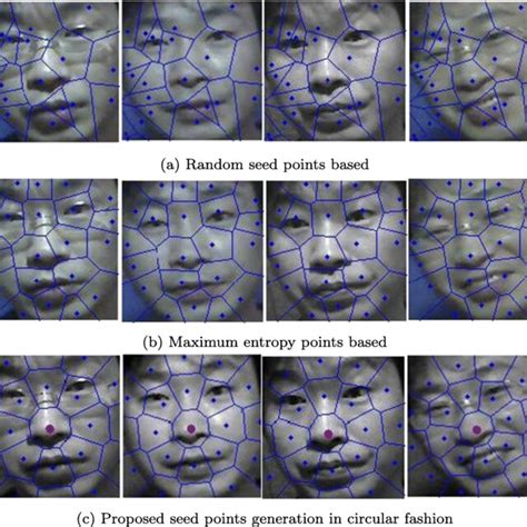 Comparison Of Patch Generation Using Existing Seed Points Generation