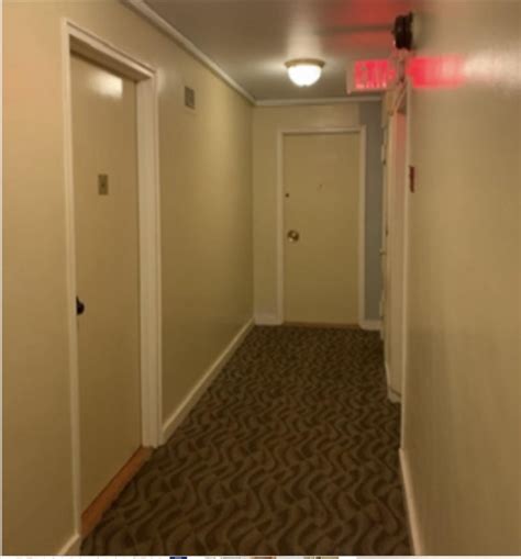 Update Client Dc Condo I Created 4 Designs For All Hallways At The