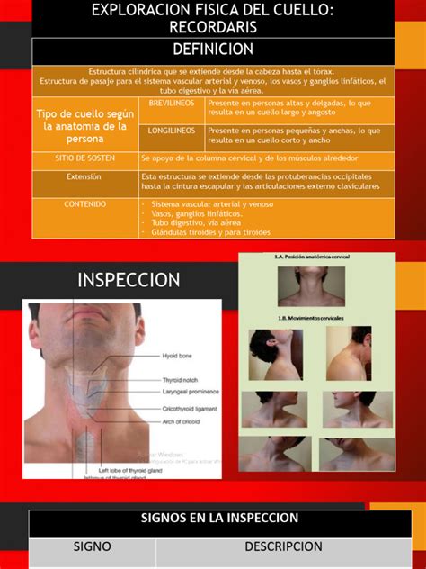 Exploracion Fisica Del Cuello Y Torioides Descargar Gratis Pdf Anatomía