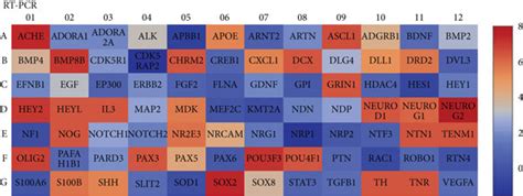 Real Time Pcr Of Nir G Transdifferentiated Iadscs A Illustrative