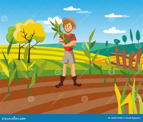 Male Farmer Harvesting Crop Cultivated Agriculture Field Rural Landscape Vector Illustration