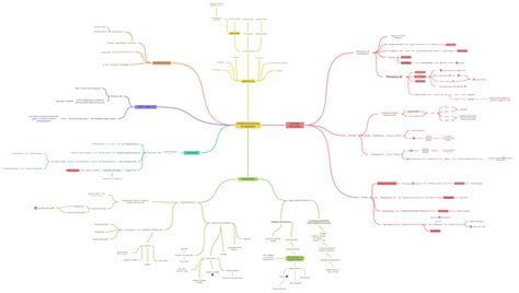 Streptococcus Pyogenes Coggle Diagram