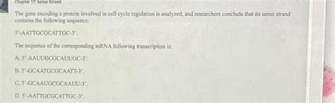Solved The Gene Encoding A Protein Involved In Cell Cycle