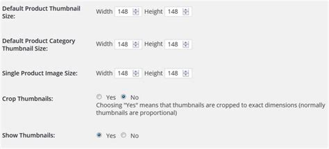 Product Presentation • Wp Ecommerce Tutorial Fastcomet