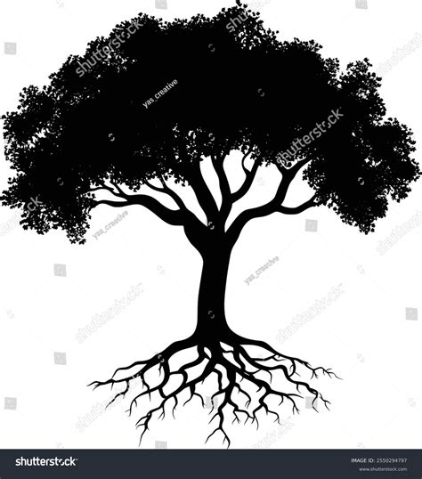 Tree Roots Silhouette Vector 21200 Tree Roots Vector Stock