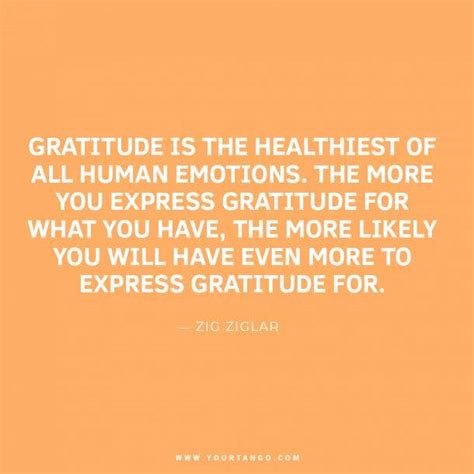 50 Gratitude Quotes — Inspirational Quotes About Gratitude Yourtango