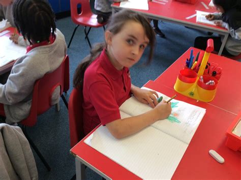 Year 3 Science Summer 2 Darwen St James C Of E Primary Academy
