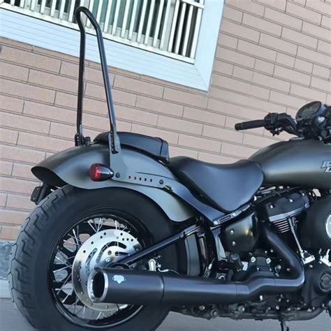 Harley Davidson Sissy Bar Suit Multiple Models Keep Your Passenger