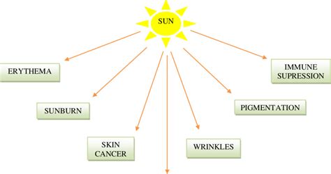 Problems Caused Due To Over Exposure Of Uva And Uvb Rays On Skin