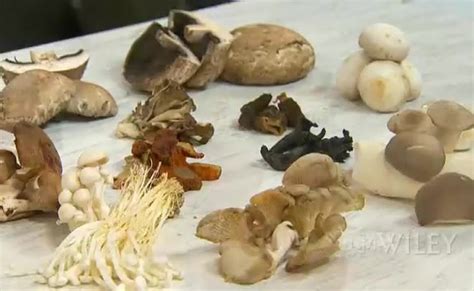 Identifying Vegetables Alexander Street A Proquest Company