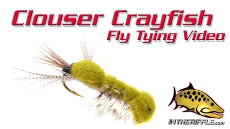 Fly Fishing Crayfish At Nick Colon Blog