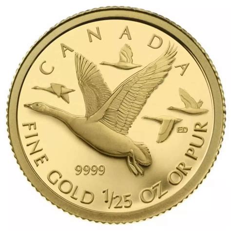 2011 1 25 Oz Gold Canadian Flying Goose With Box And Coa Olevian