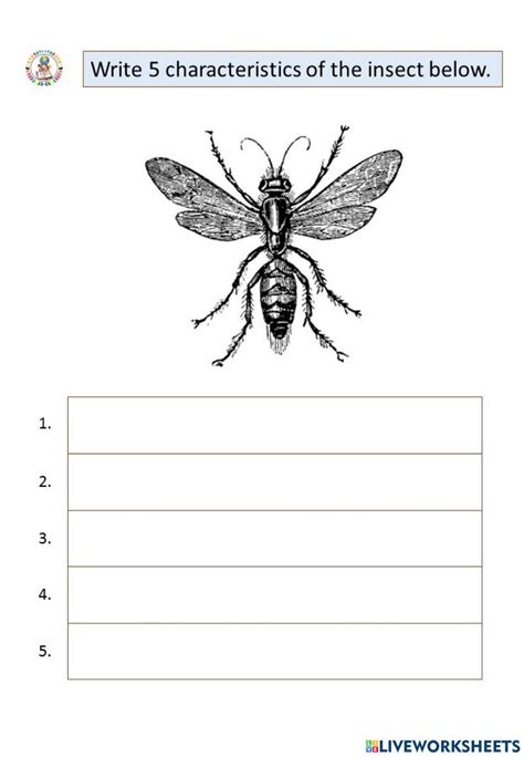 Insect Characteristics