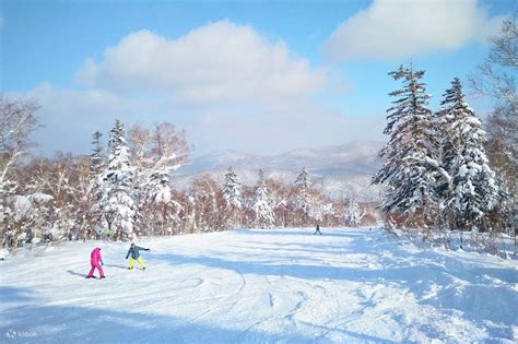 Hokkaido Sapporo Otaru Sightseeing Sapporo Kokusai Ski Resortsnow