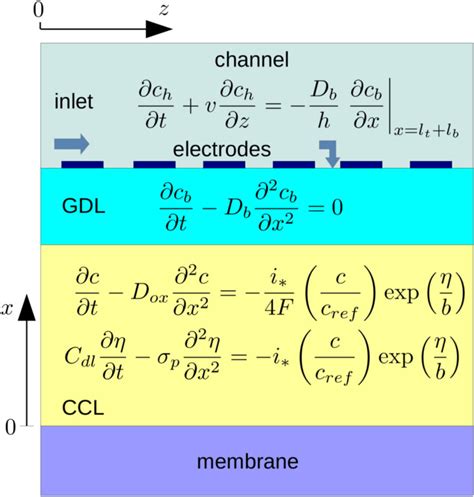 Schematic Of A Segmented Pem Fuel Cell Cathode With The Straight Download Scientific Diagram
