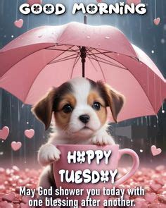 Rainy Tuesday Quotes